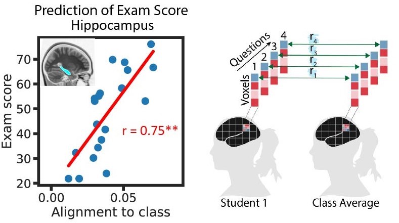 Think Like an Expert | Meir Meshulam